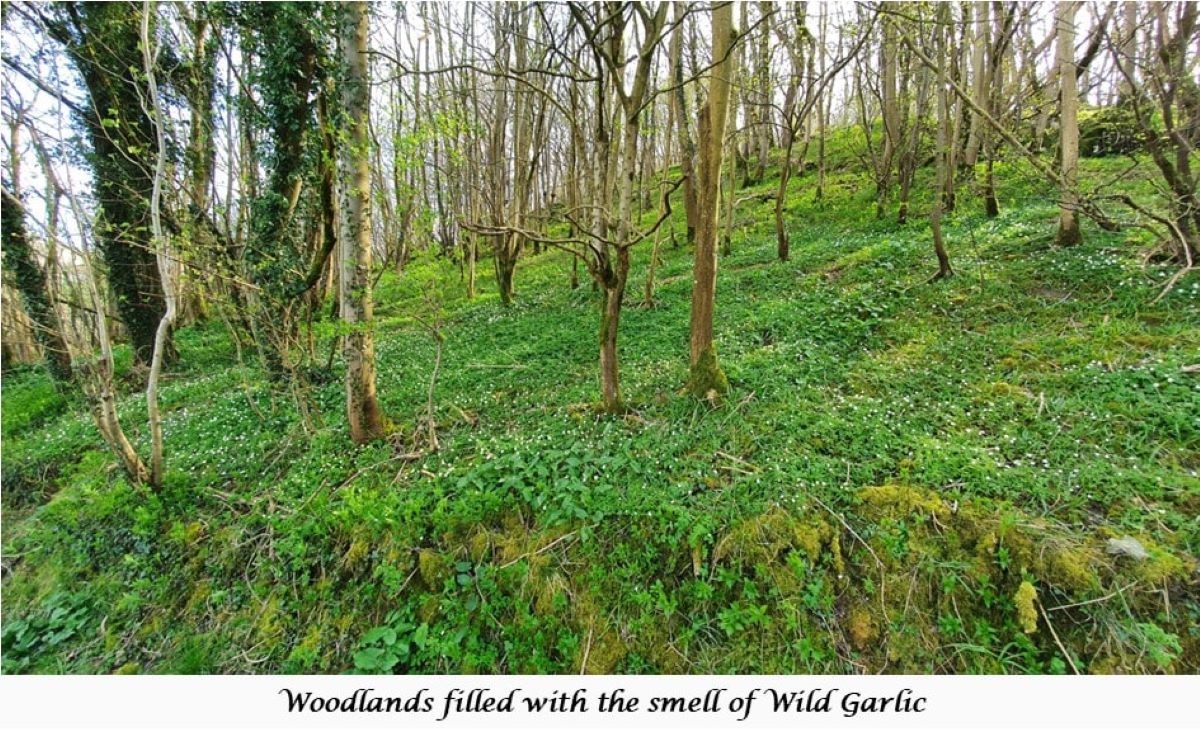 Visit Settle - Tranquillity